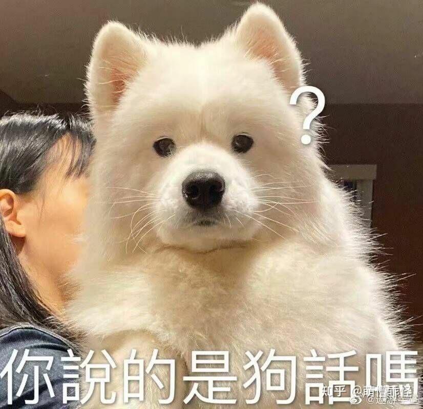 分享一些狗狗表情包(›´ω`‹ ) - 知乎