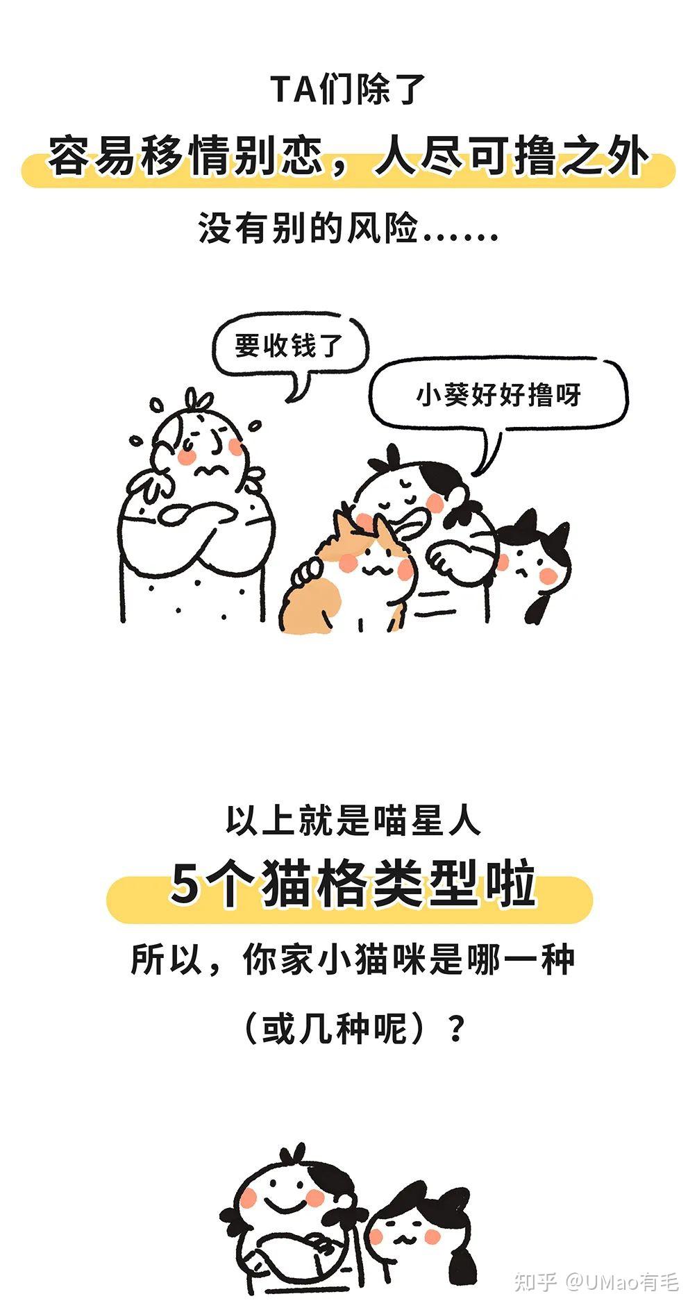 小猫咪也有 Mbti” 性格类型快来看看你家猫是哪种? 知乎