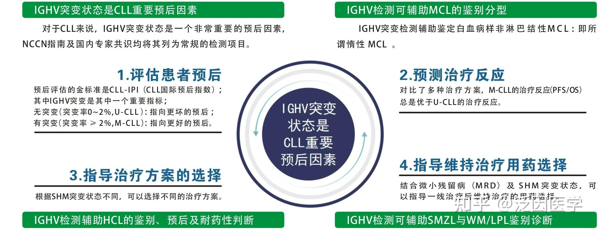 NEO-SHM：通过NGS进行的IGHV体细胞突变检测 - 知乎