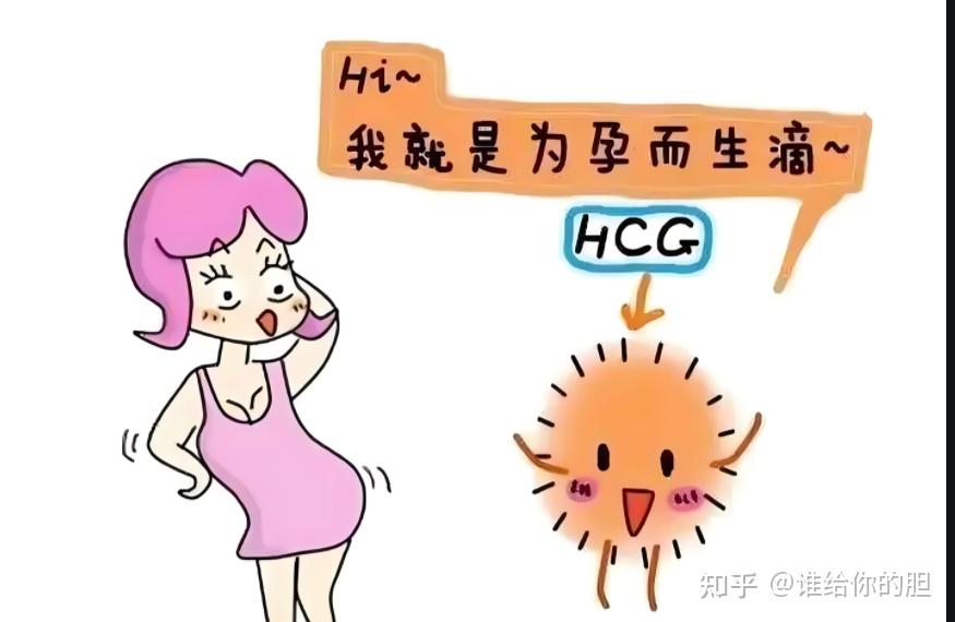 HCG值多少是怀孕，HCG对照表与孕周期怎么看？一文教你读懂！ - 知乎