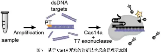 传说中的CRISPR/Cas分子诊断技术到底是个啥？ - 知乎