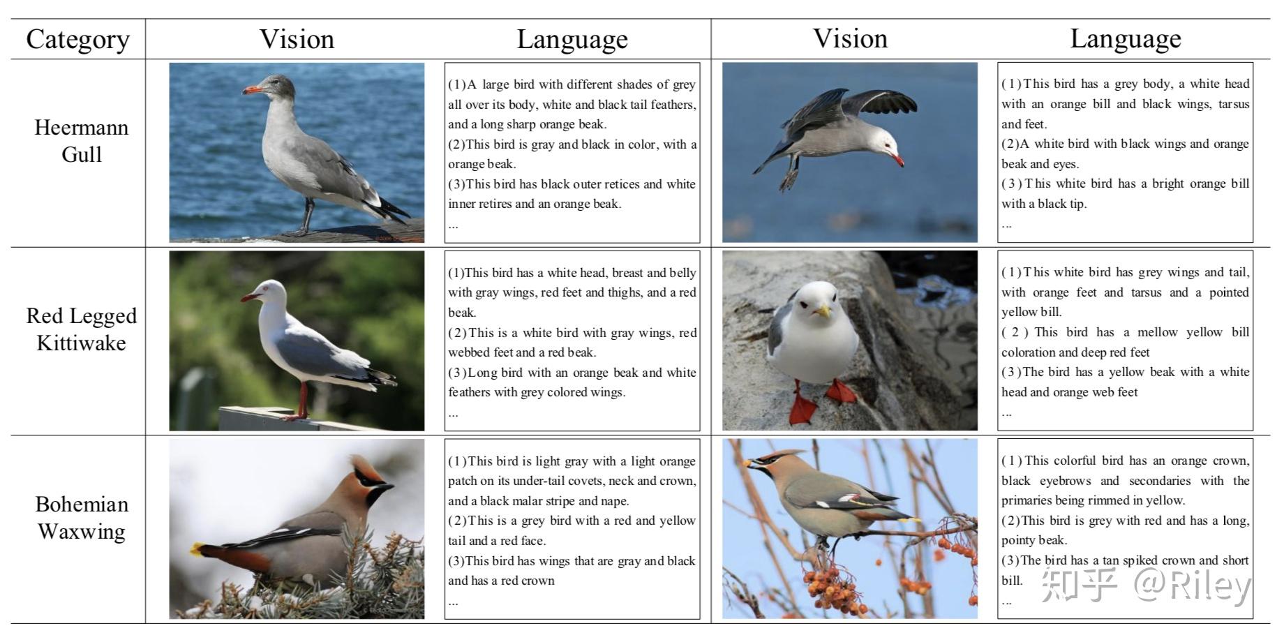 如何理解fine-grained和coarse-grained？ - 知乎