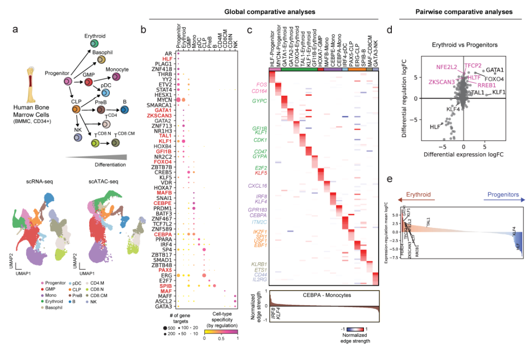 Dictys：单细胞多组学分析发育连续性的动态基因调控网络 - 知乎