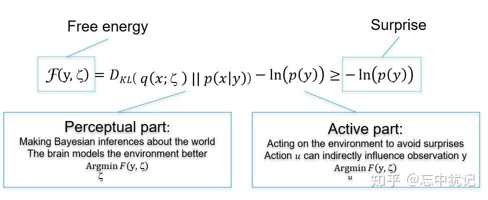 Active Inference in the brain|自由能原则（FEP）概论 - 知乎
