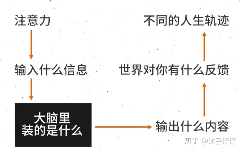 0521-元认知觉醒 - 知乎