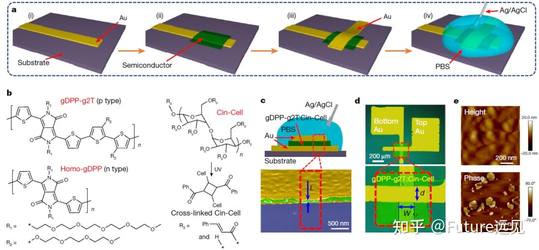 井喷！3所985，发Nature - 知乎