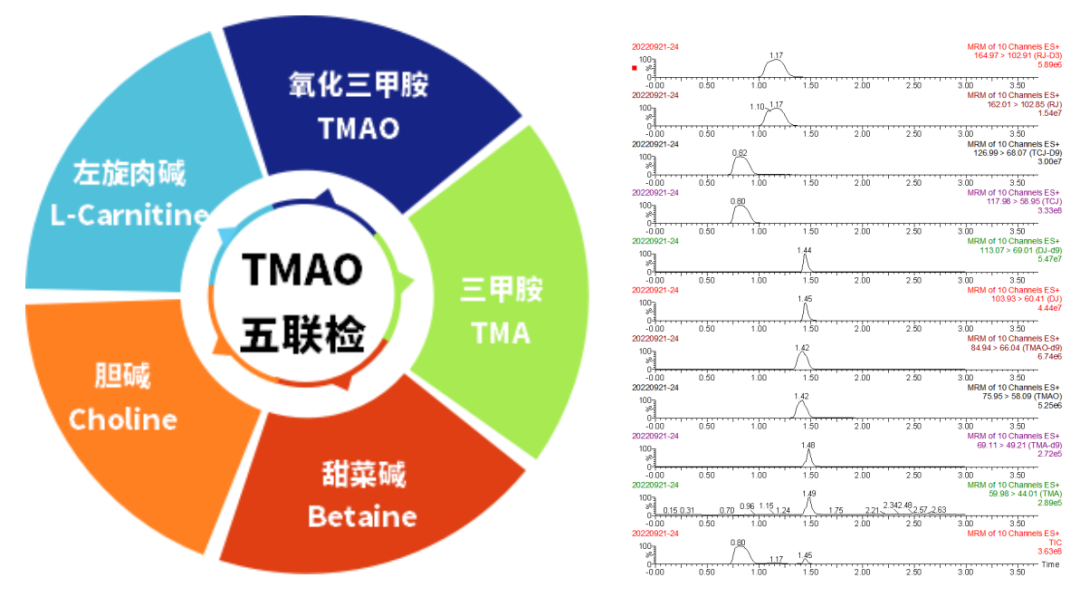 都正科普丨新型心脑血管疾病预警标记：TMAO - 知乎