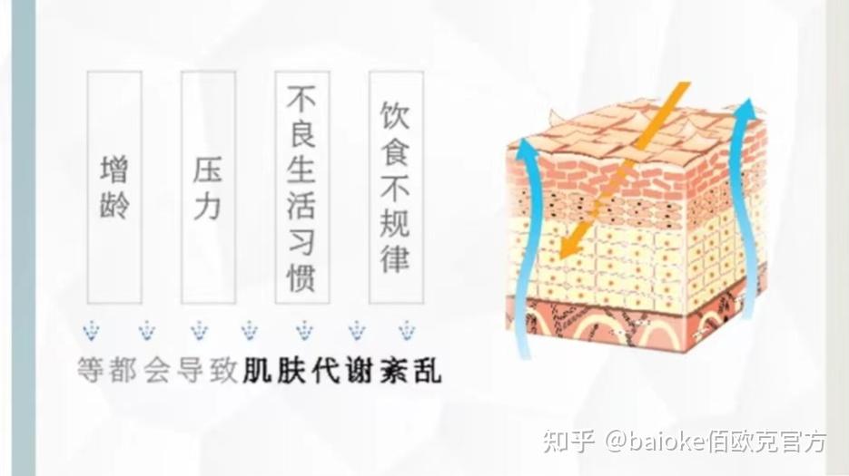 好皮肤从健康的肌肤代谢开始 知乎
