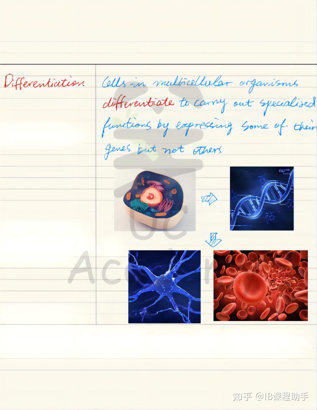 IB生物笔记：Emergent Properties & Differentiation - 知乎