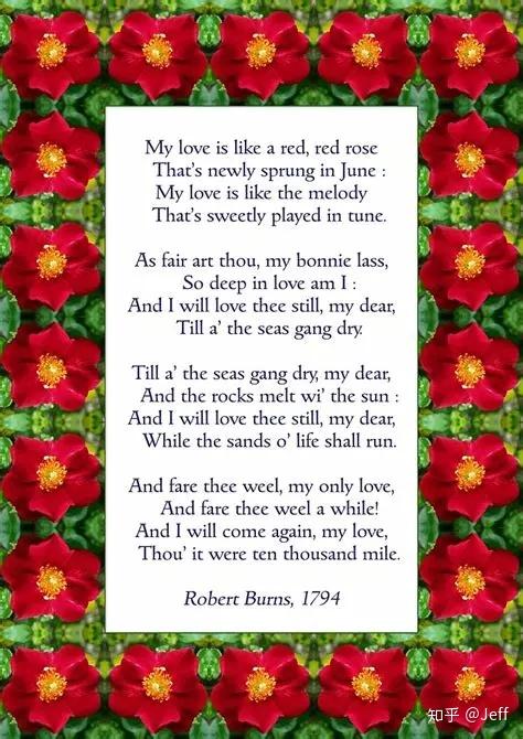 A Red, Red Rose 及三个译本 - 知乎
