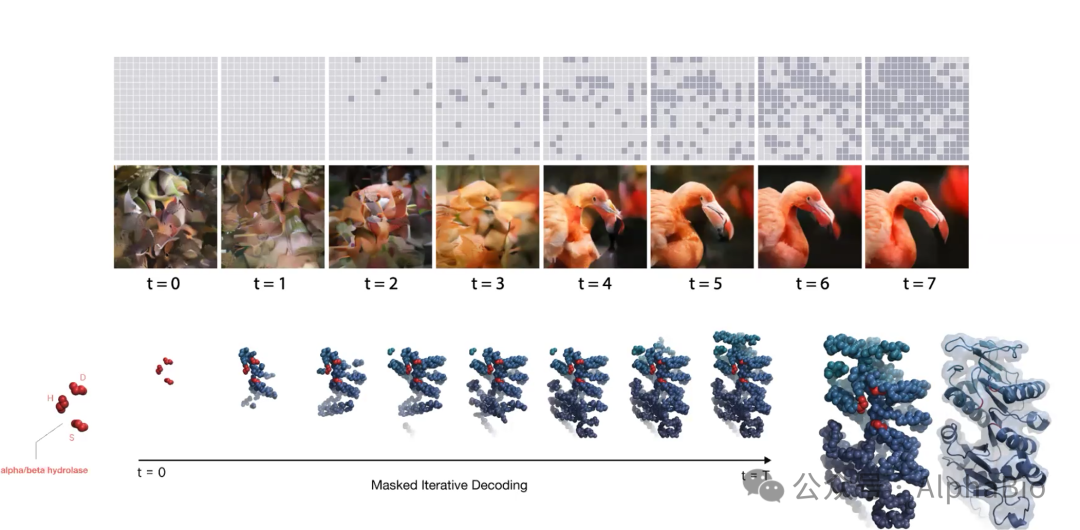[Protein] ESM3 刨析 - 知乎