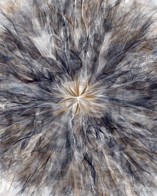 生成式艺术和算法创作11-Boids, Flocks, Swarms - 知乎