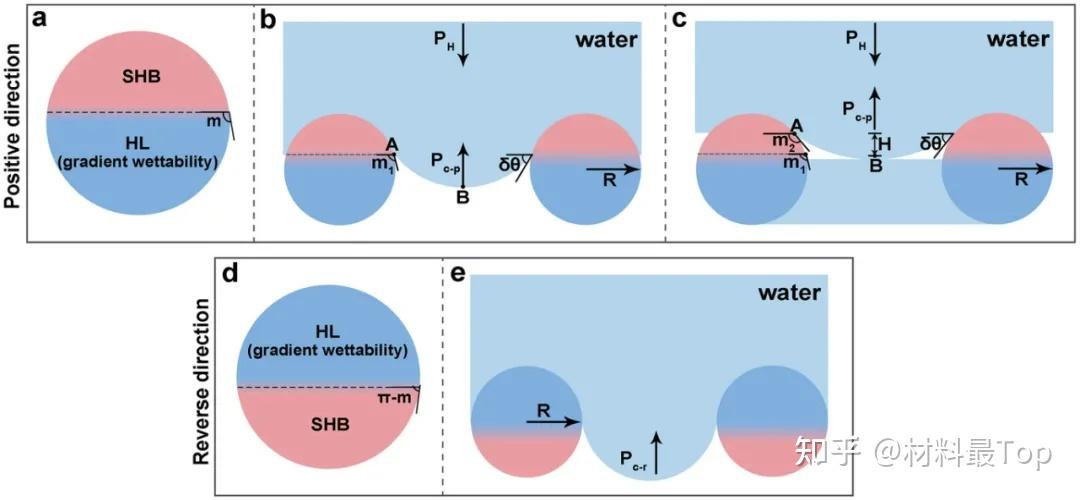 刘克松/金旭合作Adv. Sci.：液体辅助单层Janus膜，单向液体渗透！ - 知乎