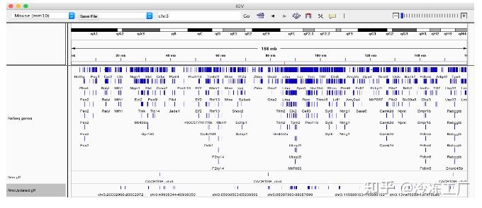 ChIP-seq 分析：GO 功能测试与 Motifs 分析（12） - 知乎