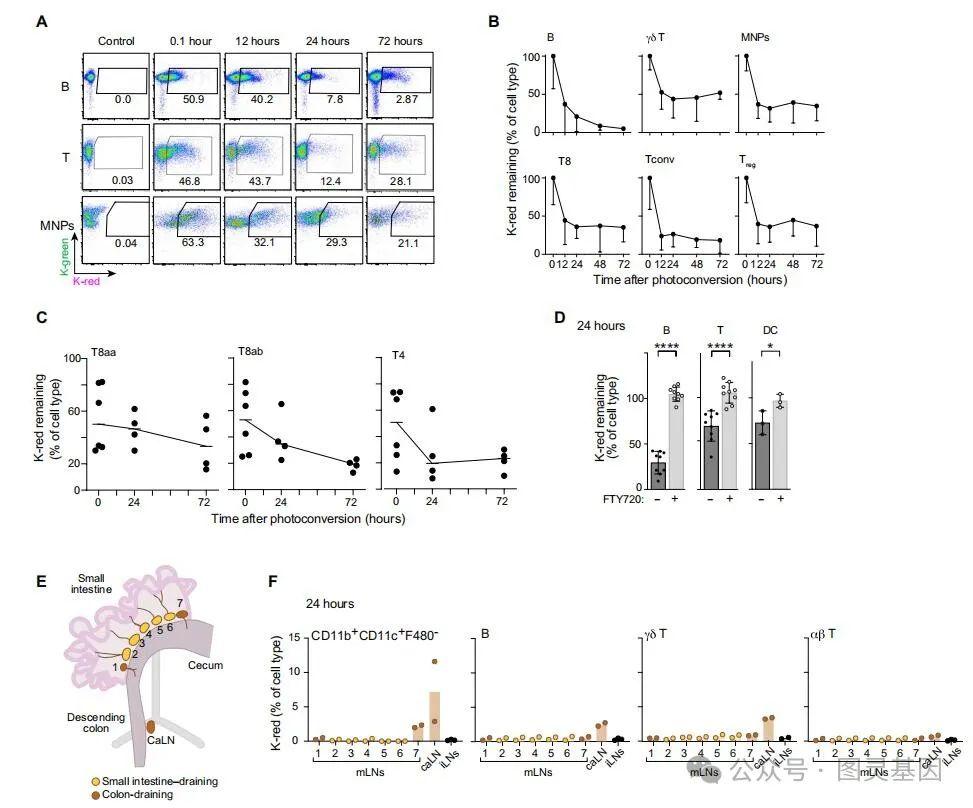 Sci Immu | 哈佛院士解析免疫细胞从肠道迁移的动态图谱 - 知乎