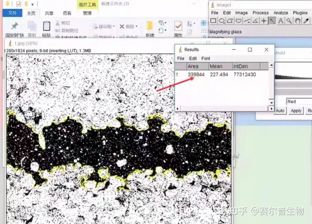 失败经验+步骤总结：看似简单的细胞划痕实验 - 知乎