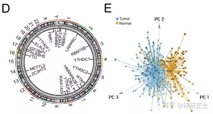 胃癌中m6A调节因子介导的甲基化修饰模式与肿瘤微环境浸润特征(IF:15.9) - 知乎