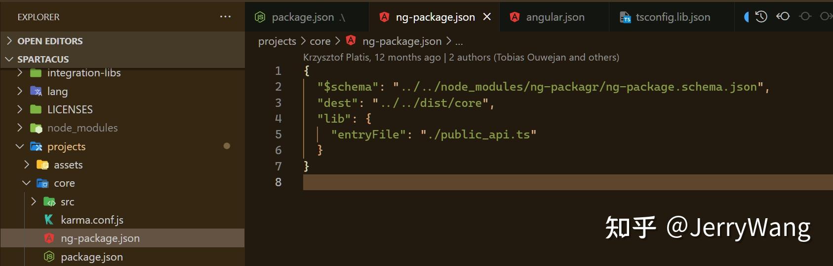 Angular 应用里 ng-package.json 文件的作用是什么？ - 知乎