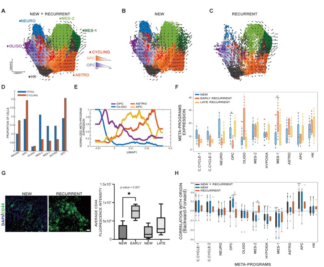 单细胞测序揭示胶质母细胞瘤中恶性细胞起源及免疫微环境的动态变化 - 知乎