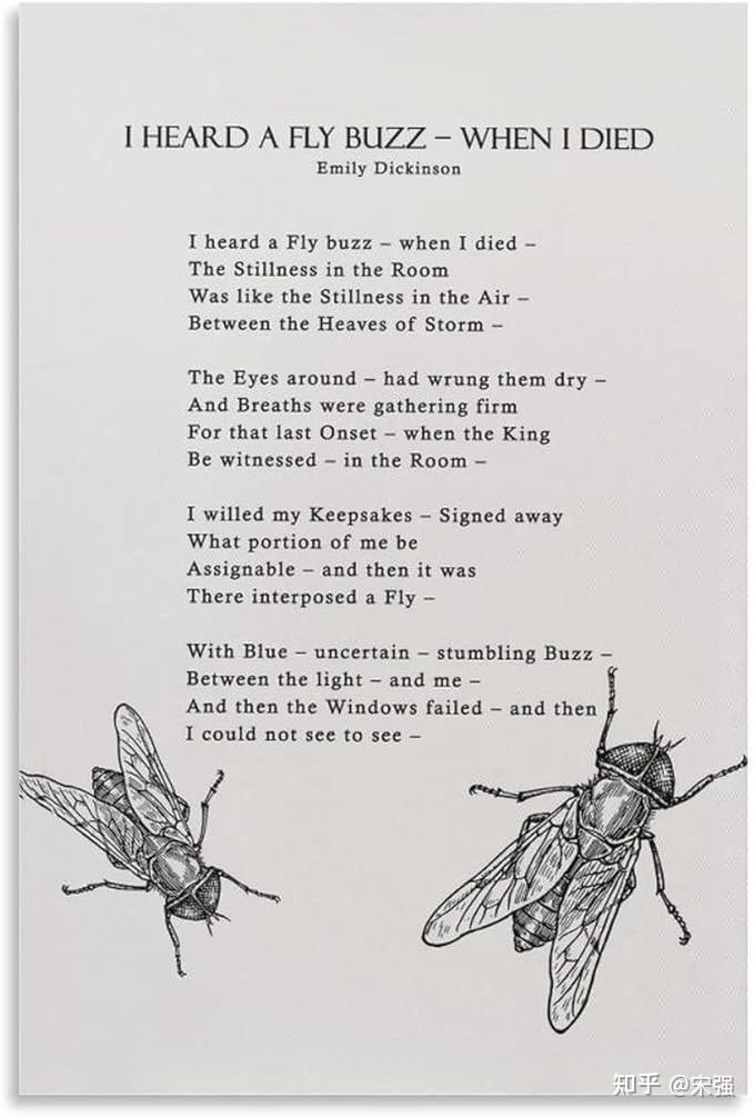 Emily Dickinson(艾米莉·狄金森)《I heard a Fly buzz - when I died》《当我死的时候，我听到了 ...