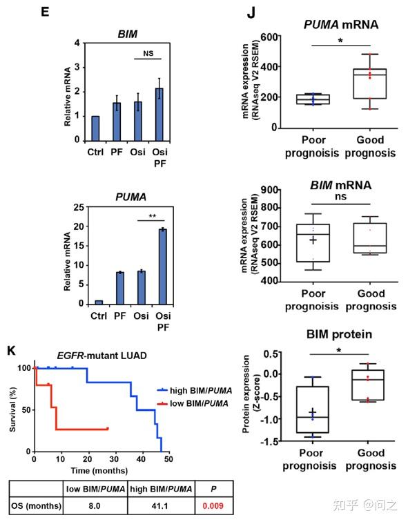 Cancer Cell | 靶向Aurora B激酶通过增强BIM和PUMA介导的细胞凋亡克服EGFR抑制剂耐药 - 知乎