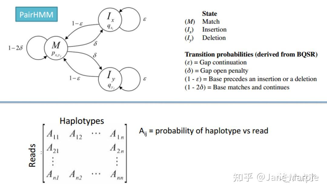 一文详解GATK-HaplotypeCaller 变异检测原理和实战 - 知乎