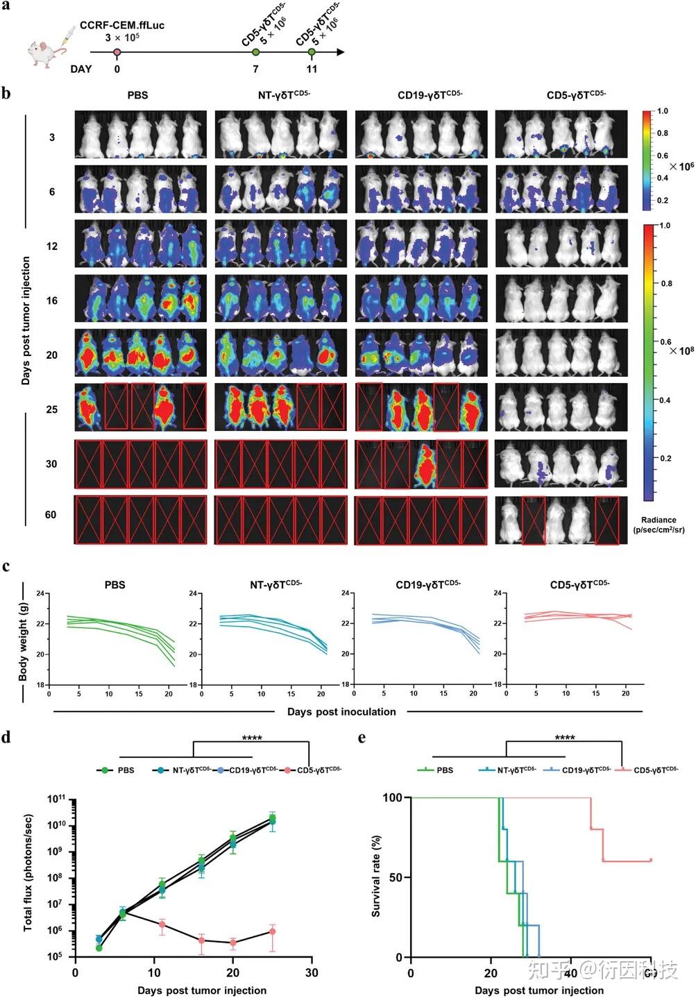 敲除CD5，并利用mRNA工程化的CD5-CAR-γδT细胞，用于T-ALL免疫治疗 - 知乎