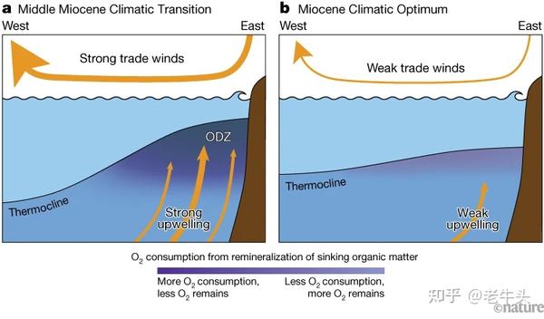 古生物新闻（2023年6月19日-7月2日） - 知乎