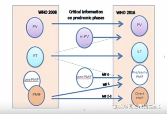 专家讲座｜张培红教授：骨髓增殖性肿瘤（MPN）的病理展望 - 知乎