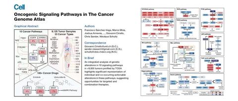 TCGA教程|TCGA更新了？！最新数据处理拿捏住！ - 知乎
