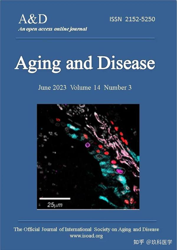 老年医学领域TOP期刊，自引率低，国人发文占比高 - 知乎