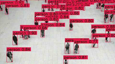 使用OpenCV和YOLOv8制作目标检测器(附源码) - 知乎