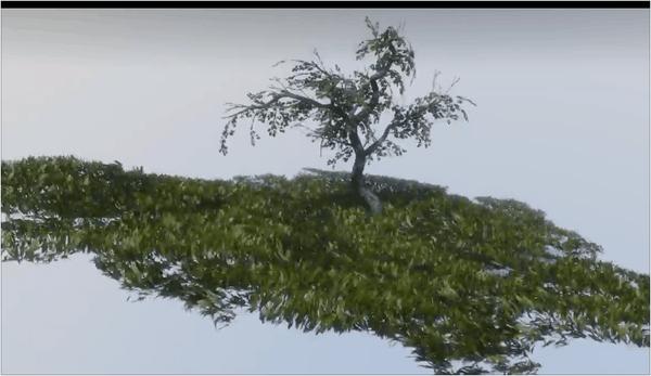 Unreal | Pivot Painter in Blender - 知乎