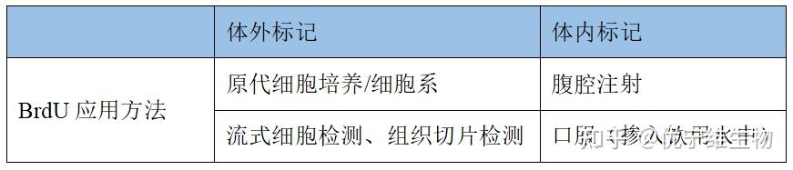 【罗工宝典第18式】BrdU的检测攻略 - 知乎