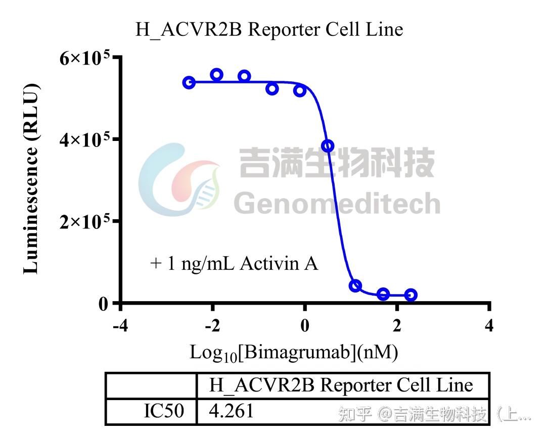ActRII（ActR2）：下一代高质量减肥“种子选手” - 知乎