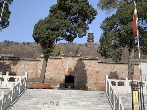 LLM（十二）：DeepSpeed Inference 在 LLM 推理上的优化探究 - 知乎