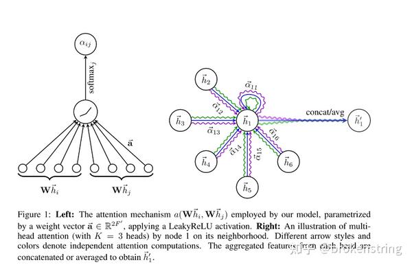 GAT原理+源码+dgl库快速实现 - 知乎