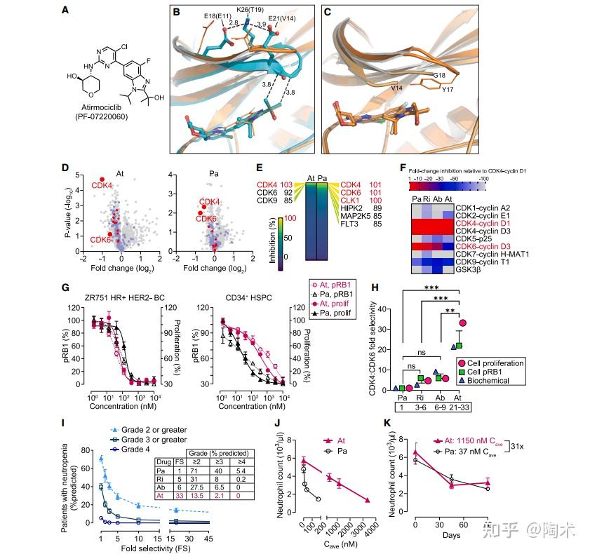 下一代CDK4/6抑制剂——Atirmociclib有什么特点？ - 知乎