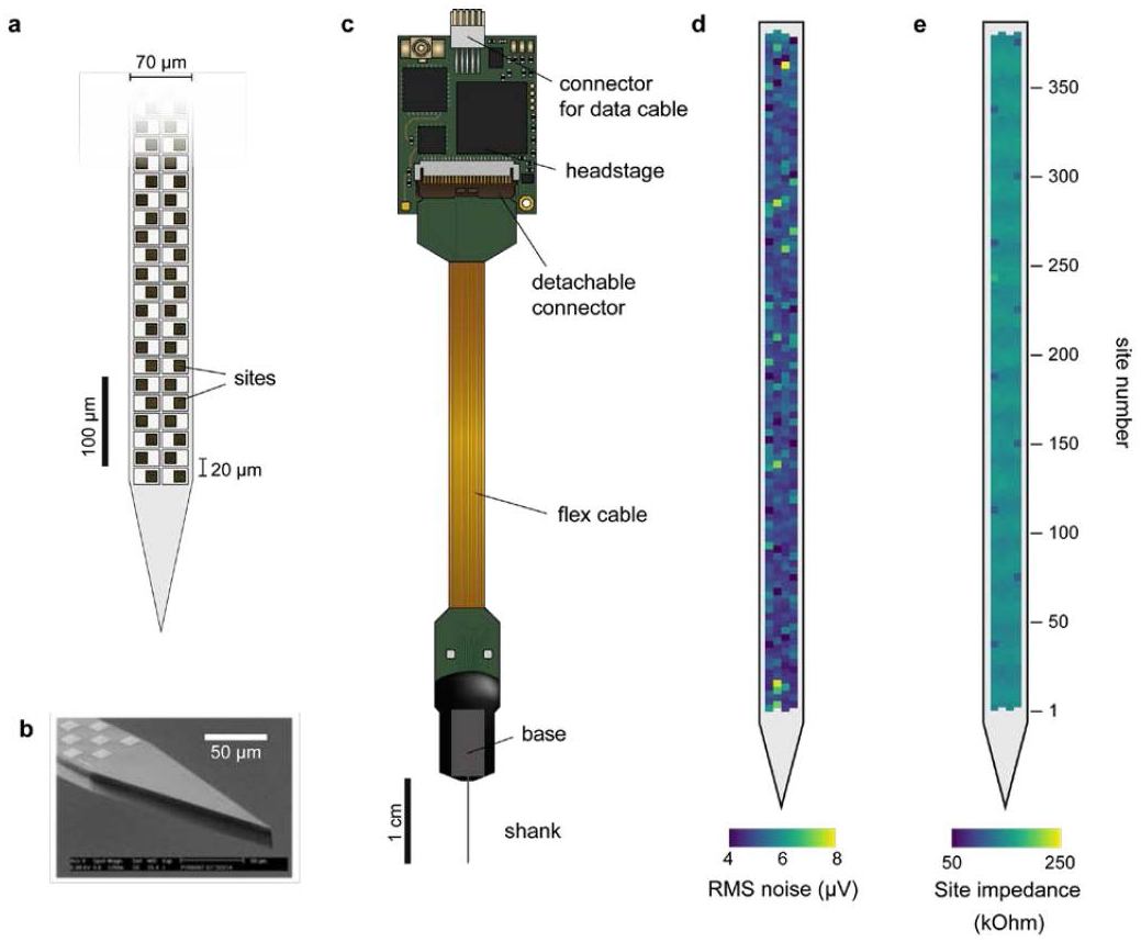 一文读懂（1）- Neuropixels - 知乎