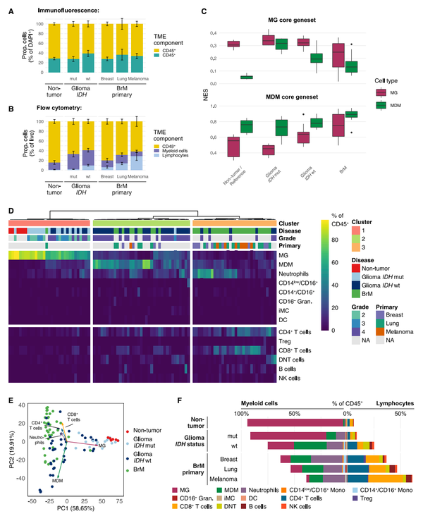 多组学研究揭示脑部肿瘤的免疫微环境 - 知乎