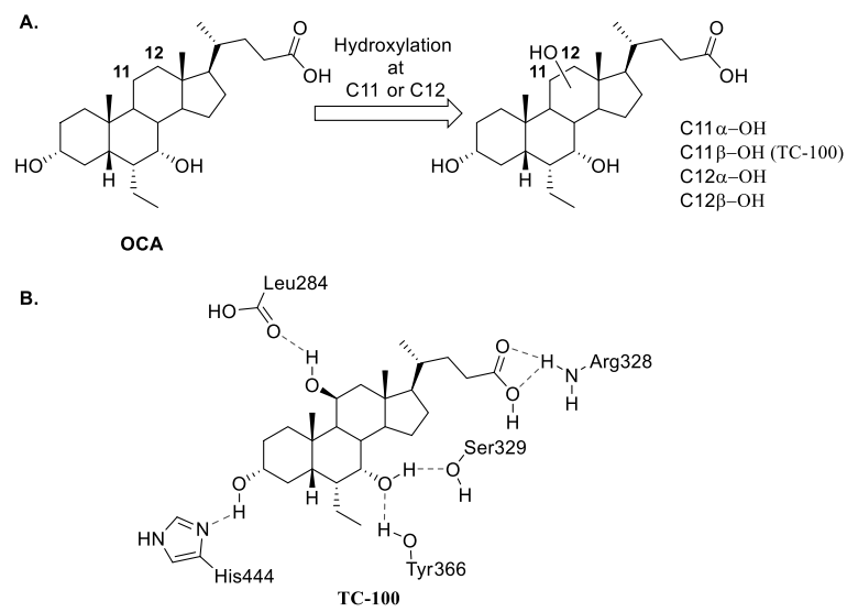 药物发现│靶向Farnesoid X受体的药物开发