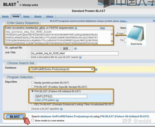 山东大学生物信息学学习笔记4—BLAST - 知乎