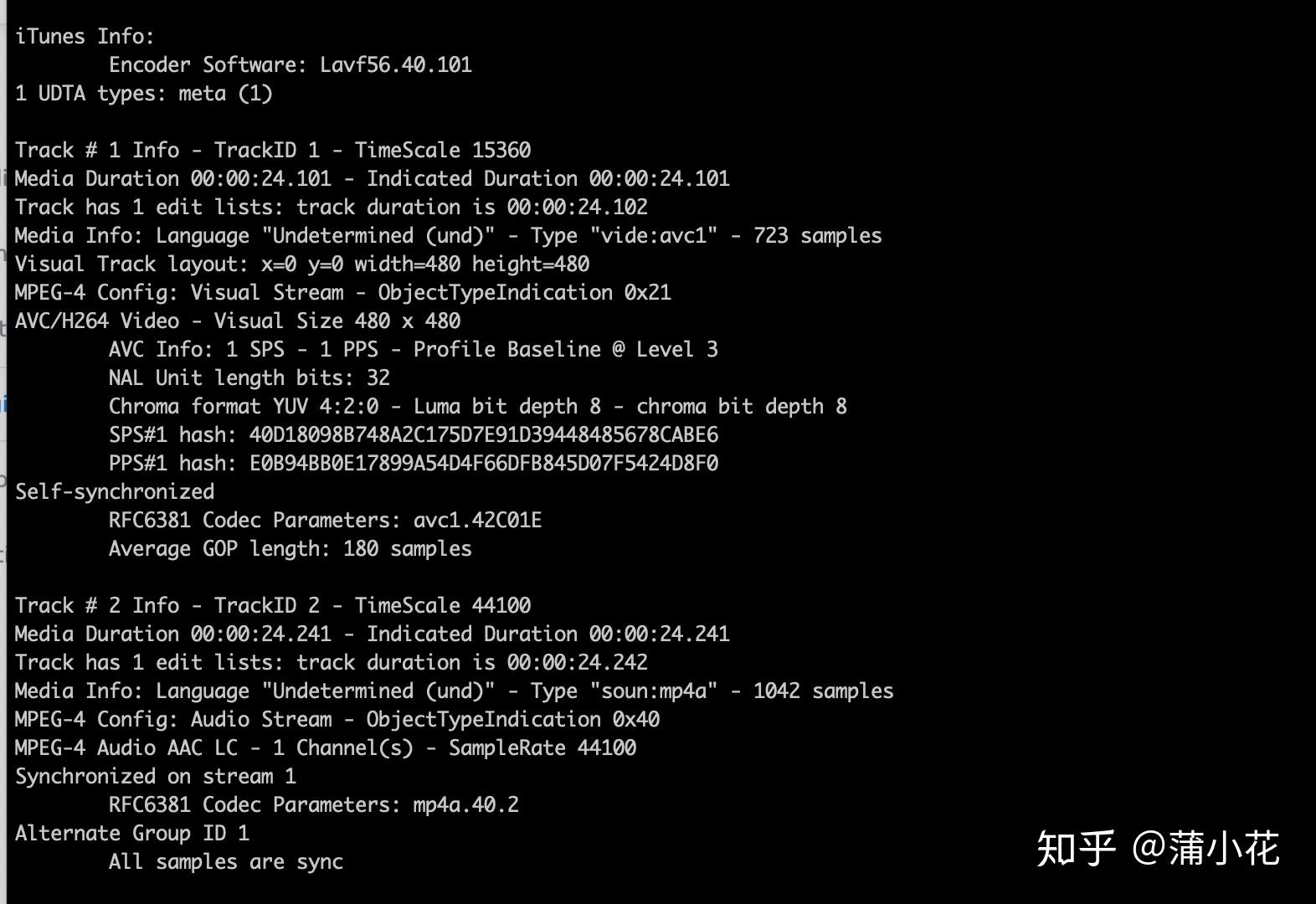 使用 JS 获取视频 Codec - 知乎