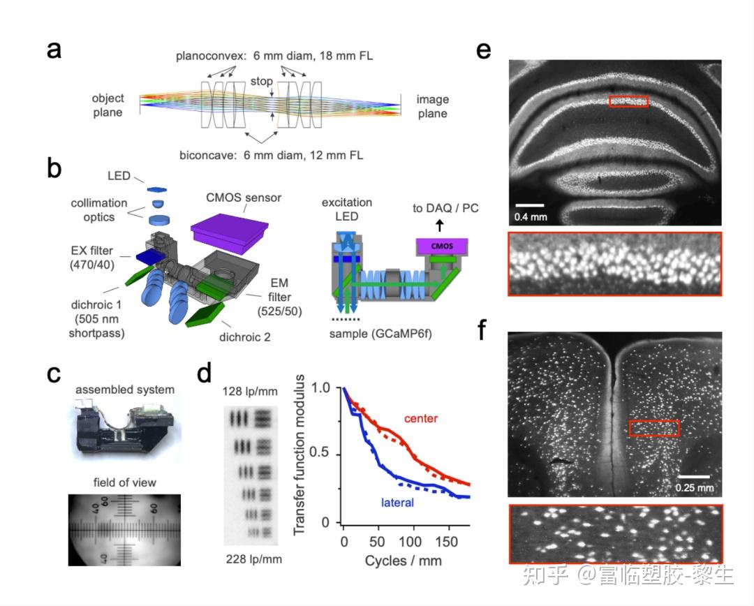 LabMaker光遗传自由活动小鼠神经活动的大规模细胞分辨率成像 - 知乎