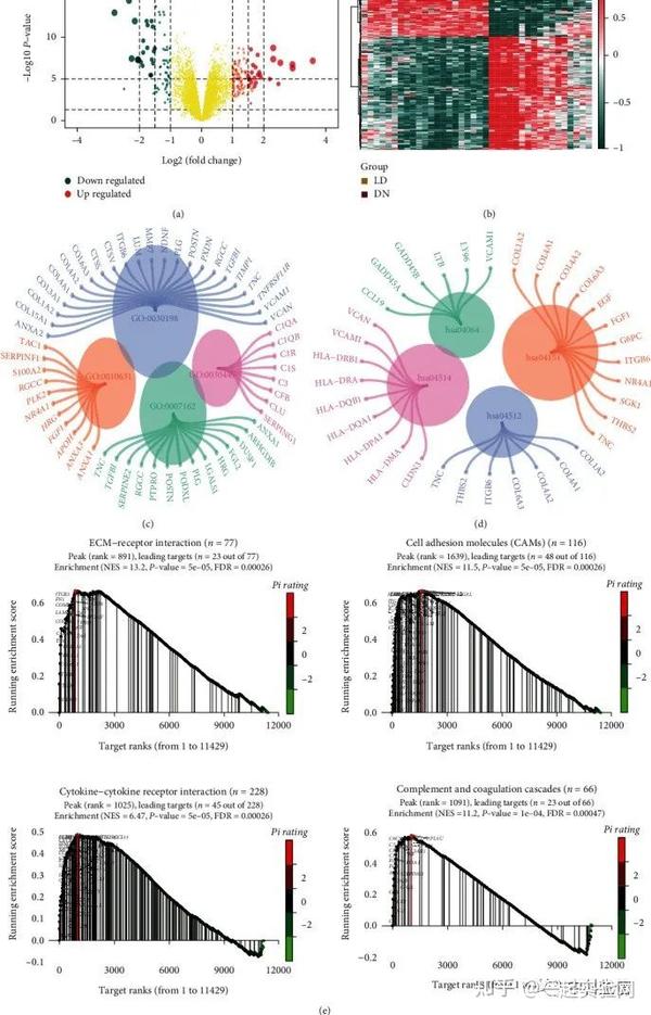4+ WGCNA模块选择新思路：模块保存分析 - 知乎