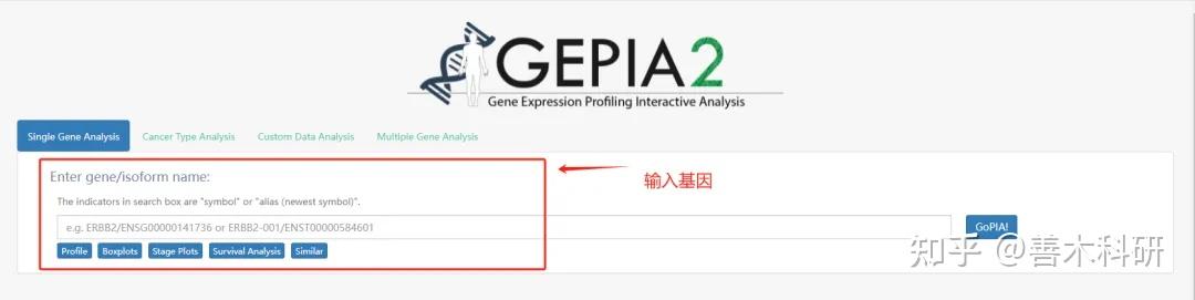 不会R语言？生信分析一键完成：GEPIA数据库，已有两千多篇文章引用，出图美观，操作简单！ - 知乎