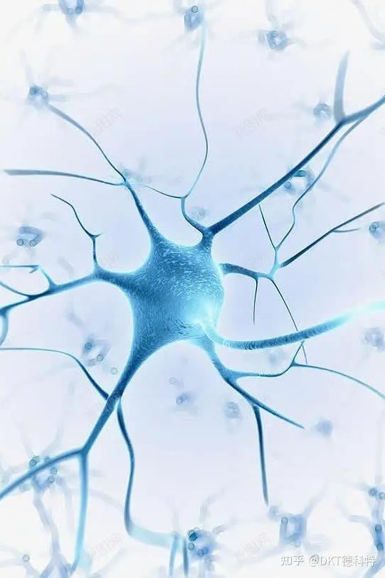 神经酸是什么？到底有哪些功效？ - 知乎