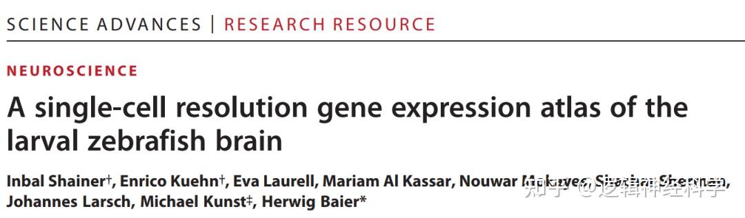 Sci Adv︱德国马普所团队应用多重荧光原位RNA杂交链式反应技术揭示斑马鱼幼体大脑基因表达图谱 - 知乎