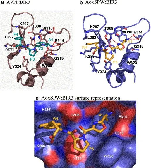 跟我学药物设计 | 先导化合物的优化（下） - 知乎