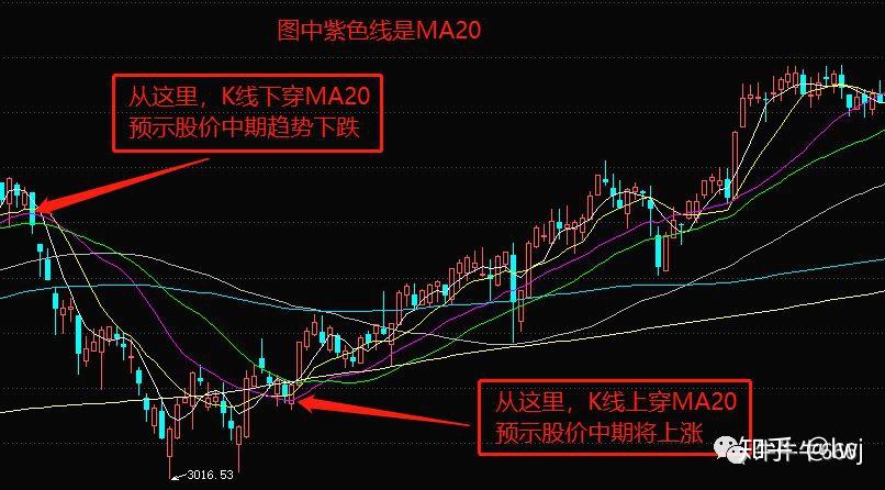 什么是MA20 - 知乎